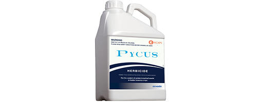 Herbicides | Cash for Communities