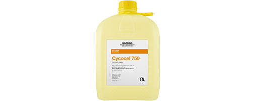 Growth Regulators | Cash for Communities