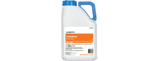 Corteva Agriscience | Cash for Communities